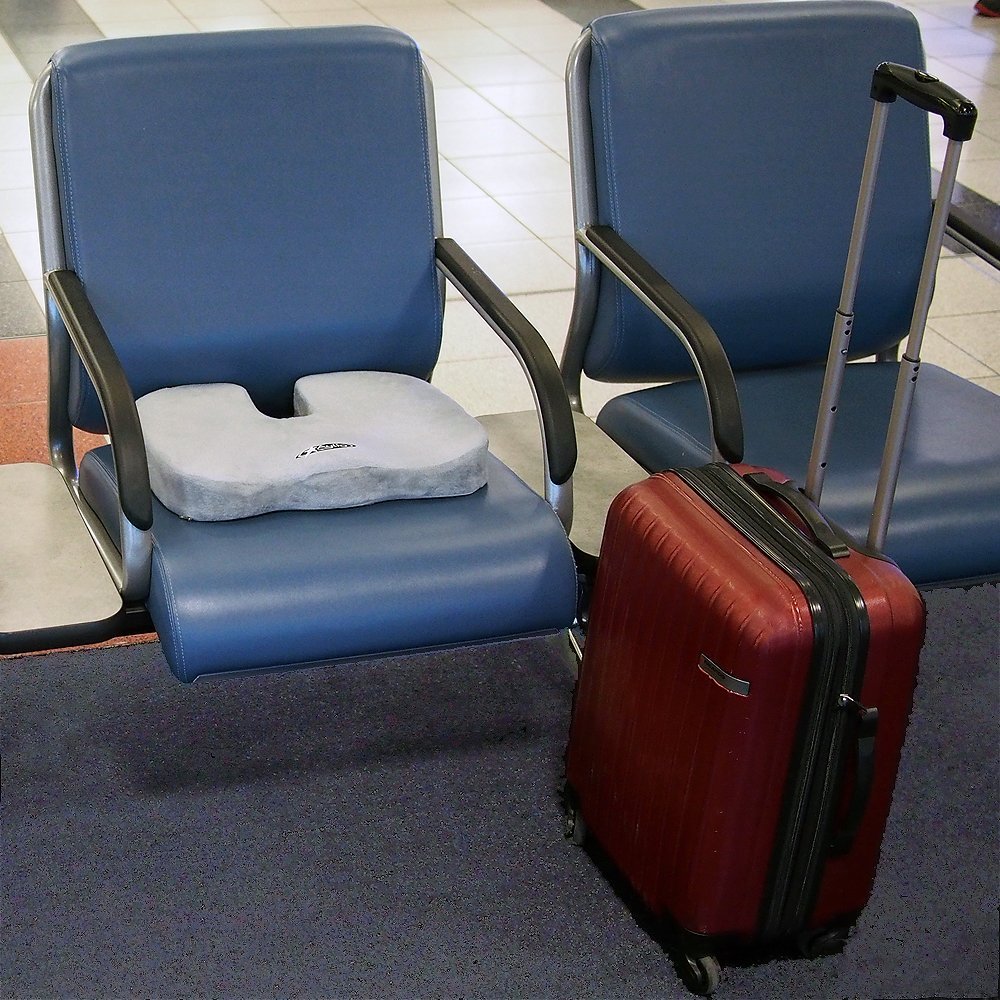 Coccyx - Aylio Wellness